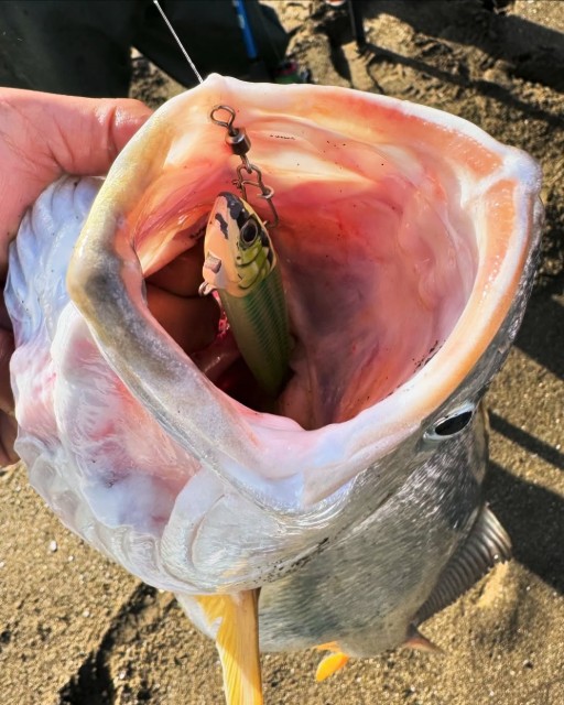 Storm Lures Website: High-Performance Fishing Lures