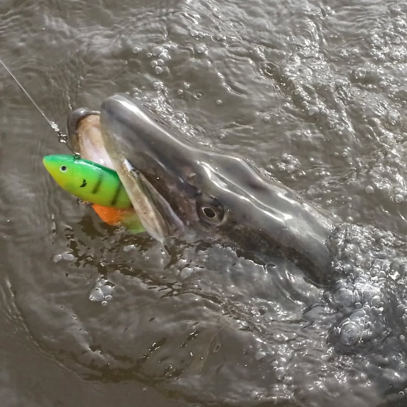 Storm Lures Website: High-Performance Fishing Lures